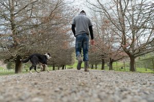 Welcome To Country-Wide - Country-Wide