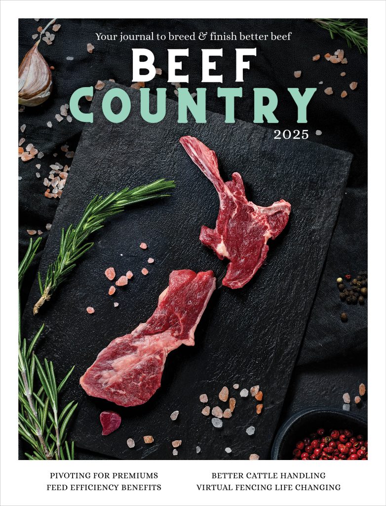 Reality check needed with farm lease - Country-Wide