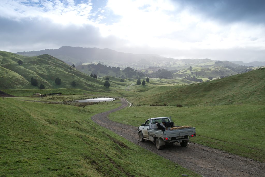 Triple drench resistance sparks substantial change - CountryWide