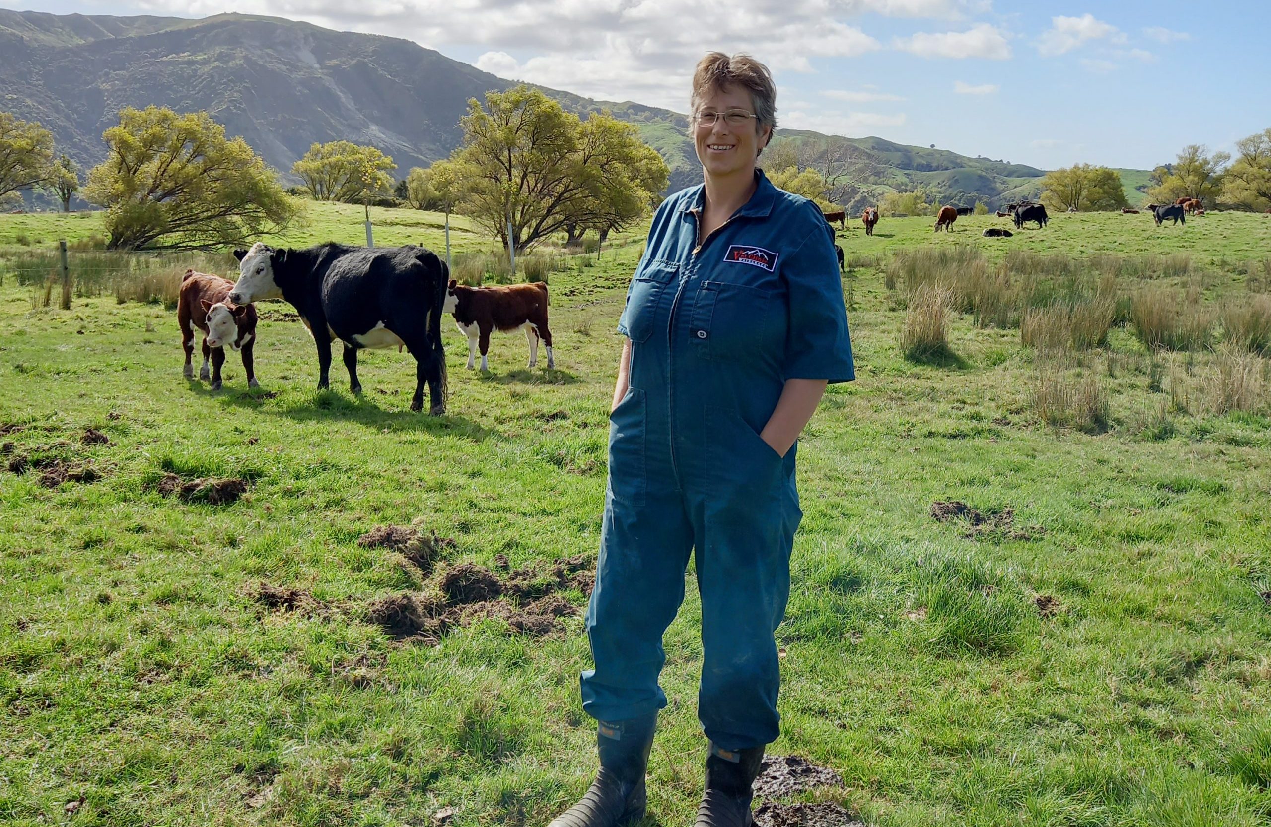 Dealing with shearing wounds - CountryWide