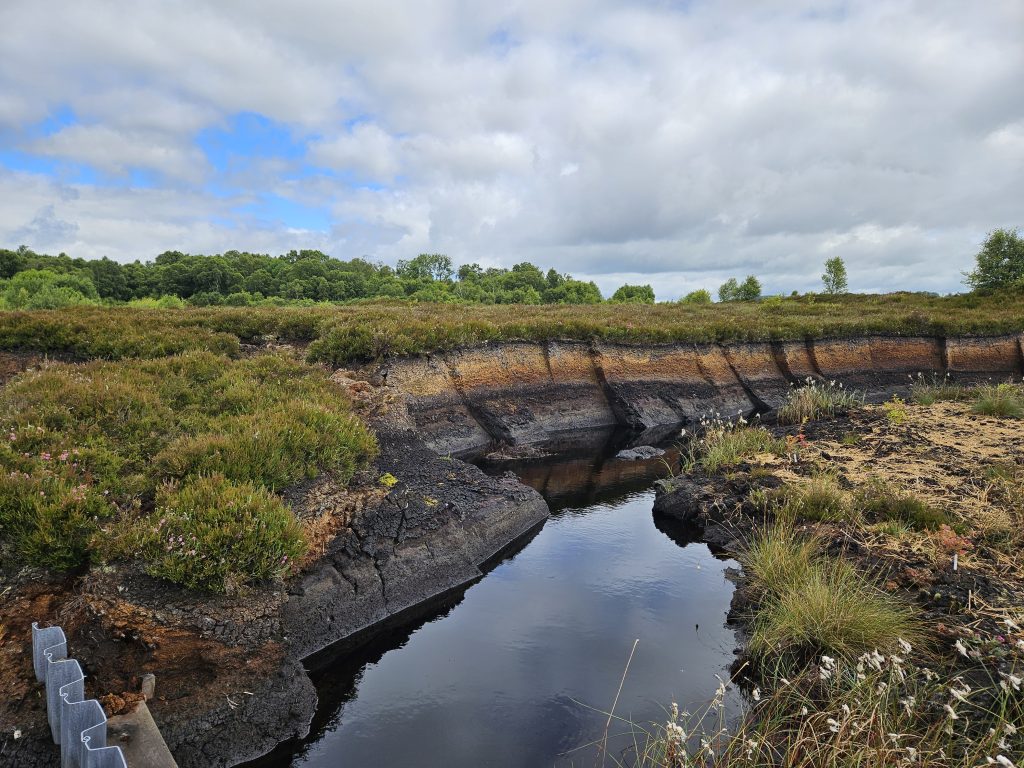 Changing the Bog-Standard - CountryWide