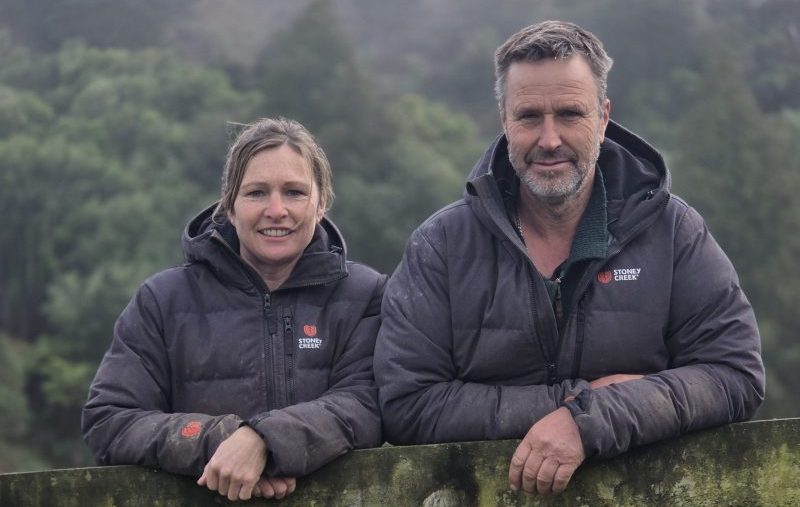 Beef Finishing Transforms Hill-Country Farm - CountryWide