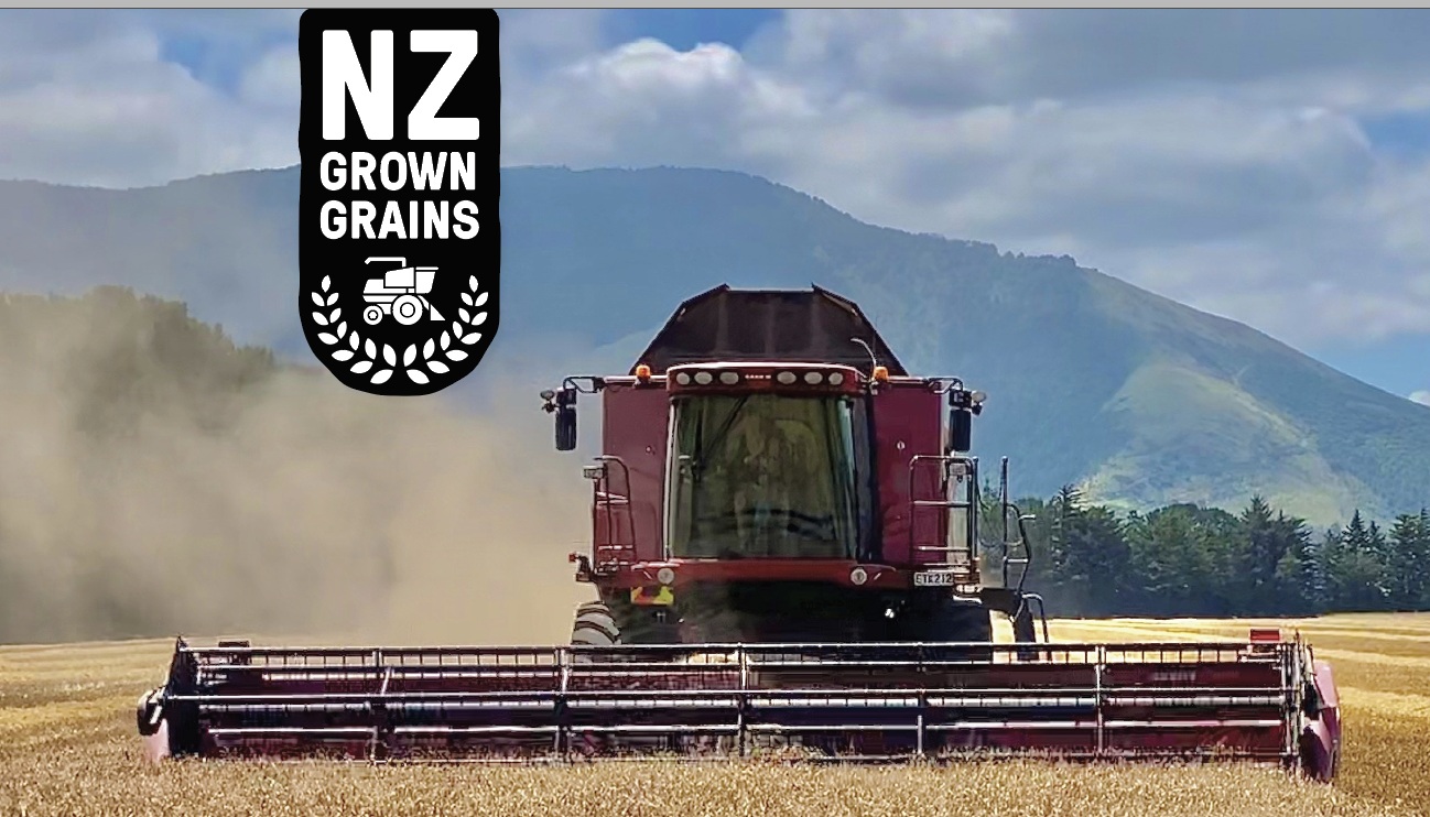 New Logo Highlights New Zealand - Grown Grains - CountryWide