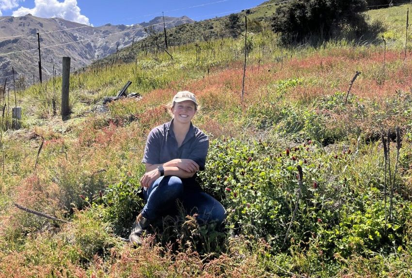 New legume species - CountryWide