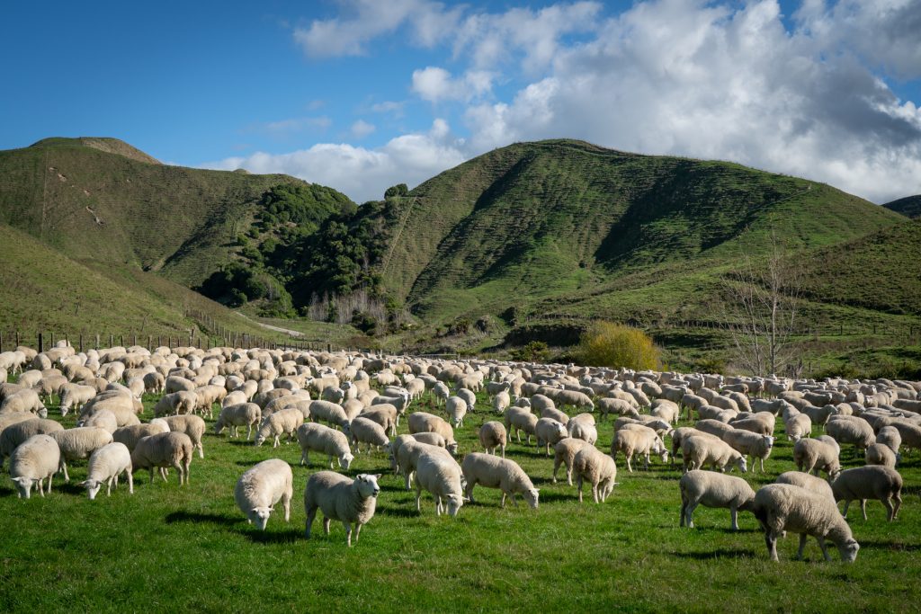 Building wealth beyond the farm gate - CountryWide