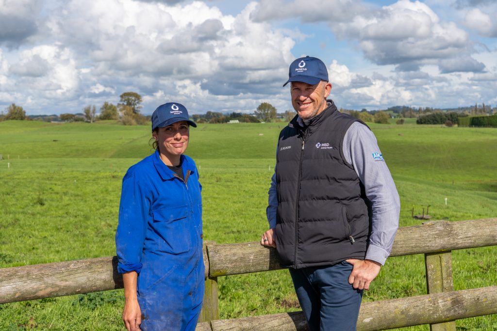 Dairying with data: One Waikato farmer's move to real-time monitoring ...